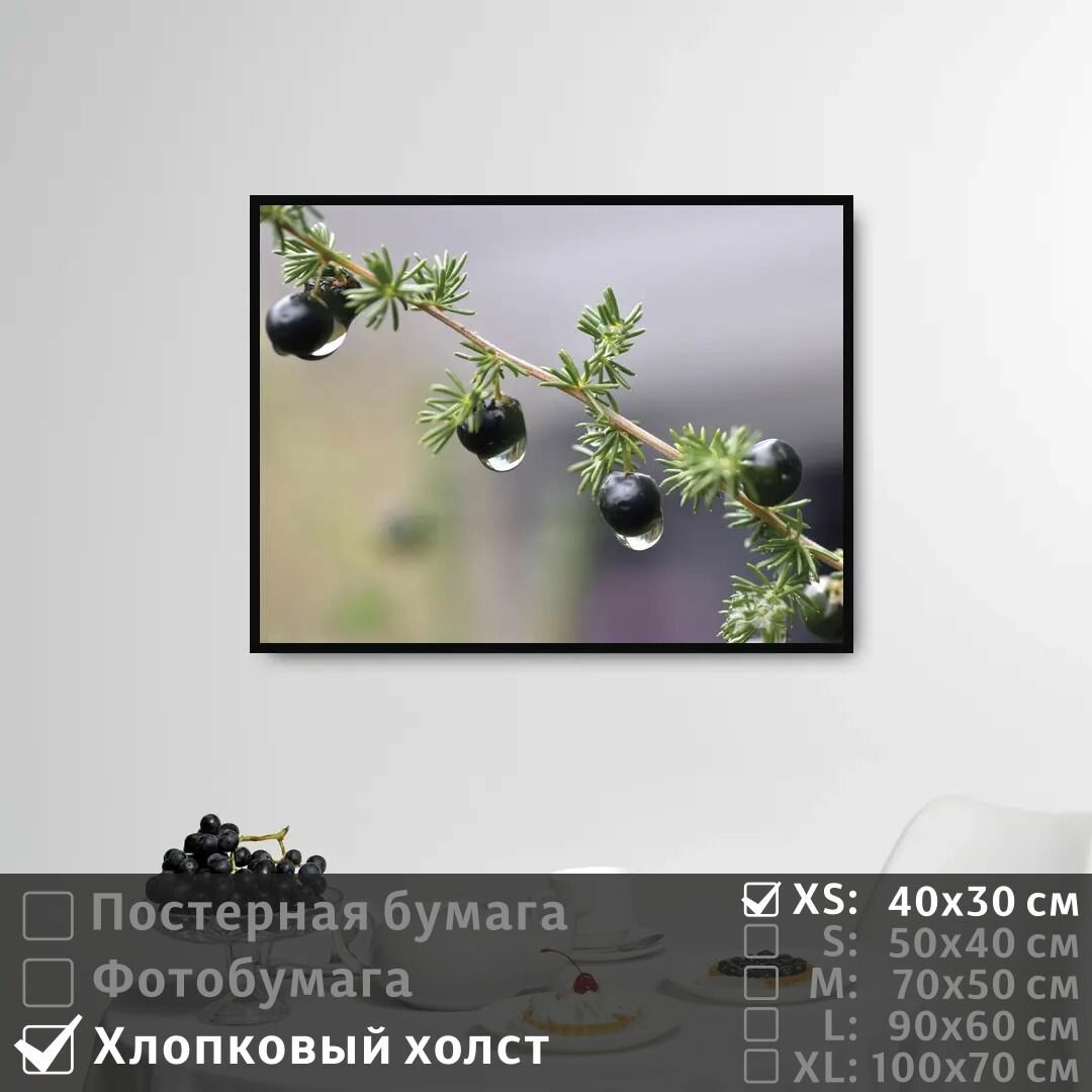 Постер на холсте Ветка С Ягодой После Дождя 40х30 см ПолиЦентр