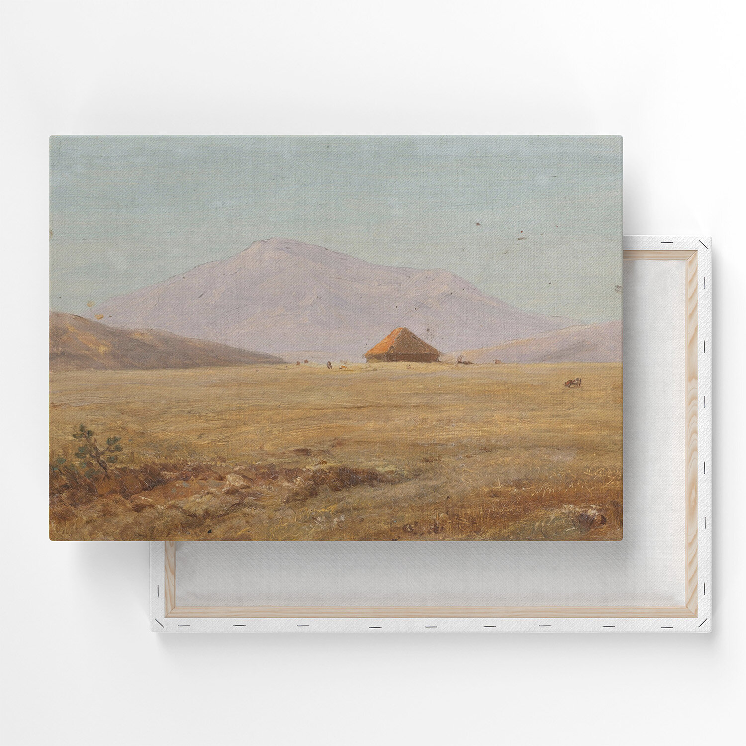 Картина на холсте, репродукция / Фредерик Эдвин Чёрч - Ecuador, mountain / Размер 30 x 40 см