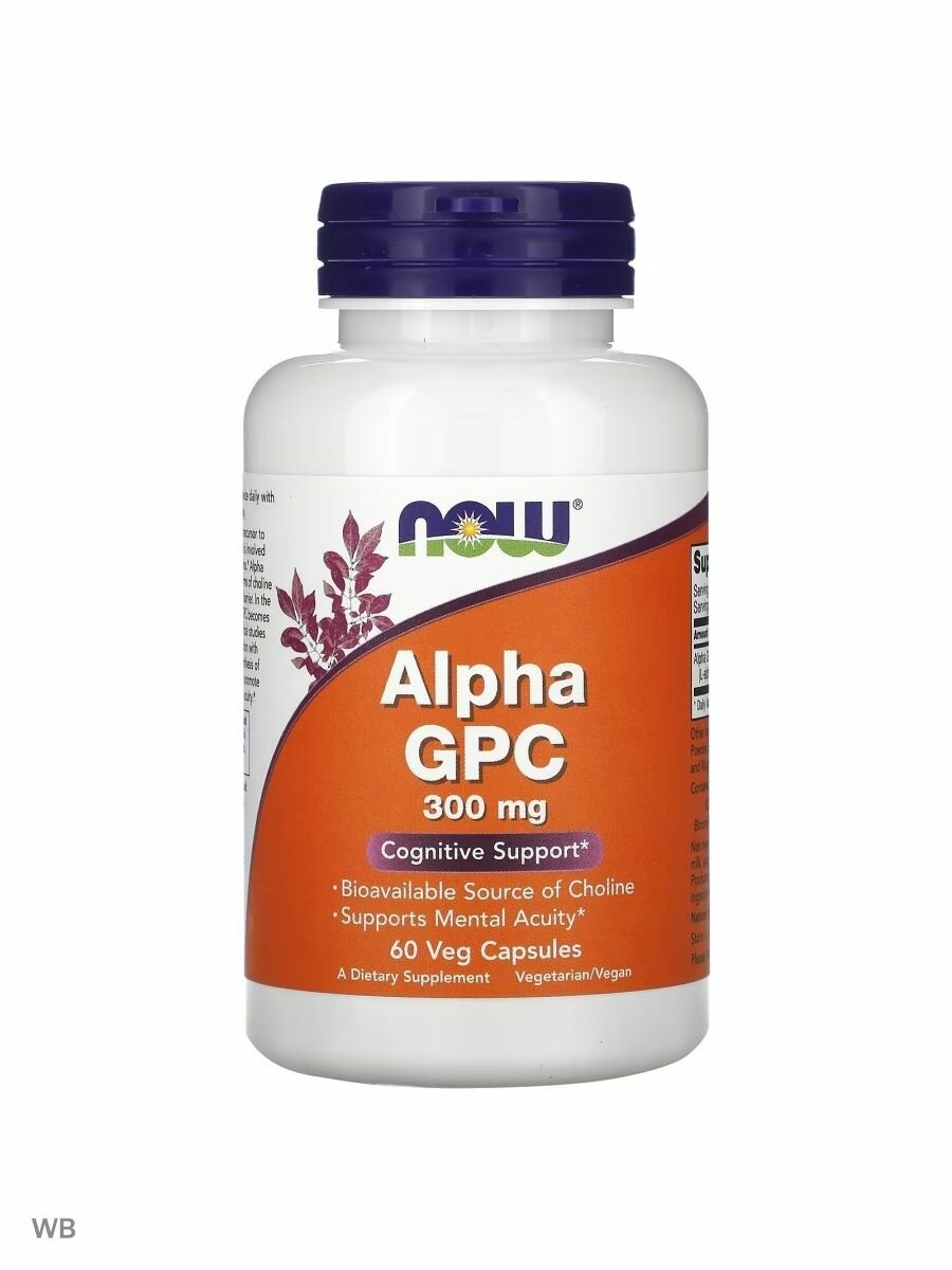 NOW Alpha GPC для улучшения памяти