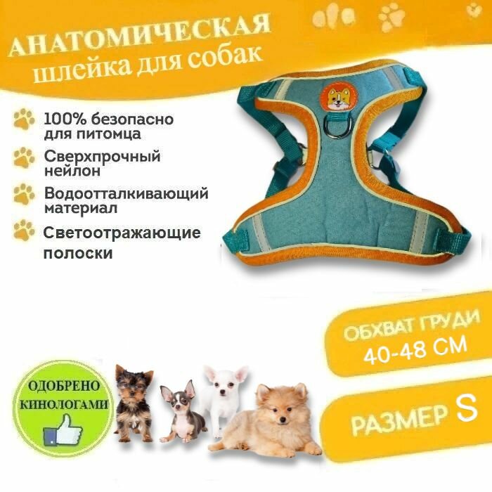 Шлейка для собак мелких пород Xing Ning анатомическая обхват груди S (40-48 см), с поводком 148 см светоотражающая , бирюзовая