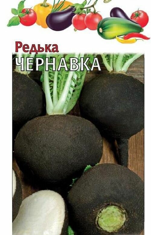 Семена Редька Чернавка