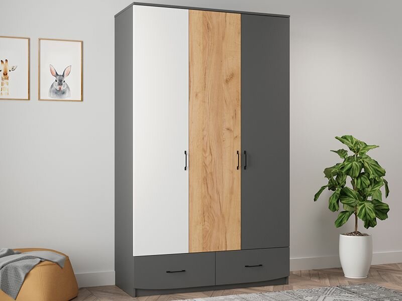 Шкаф распашной для одежды "Амели 2" 120х200х50