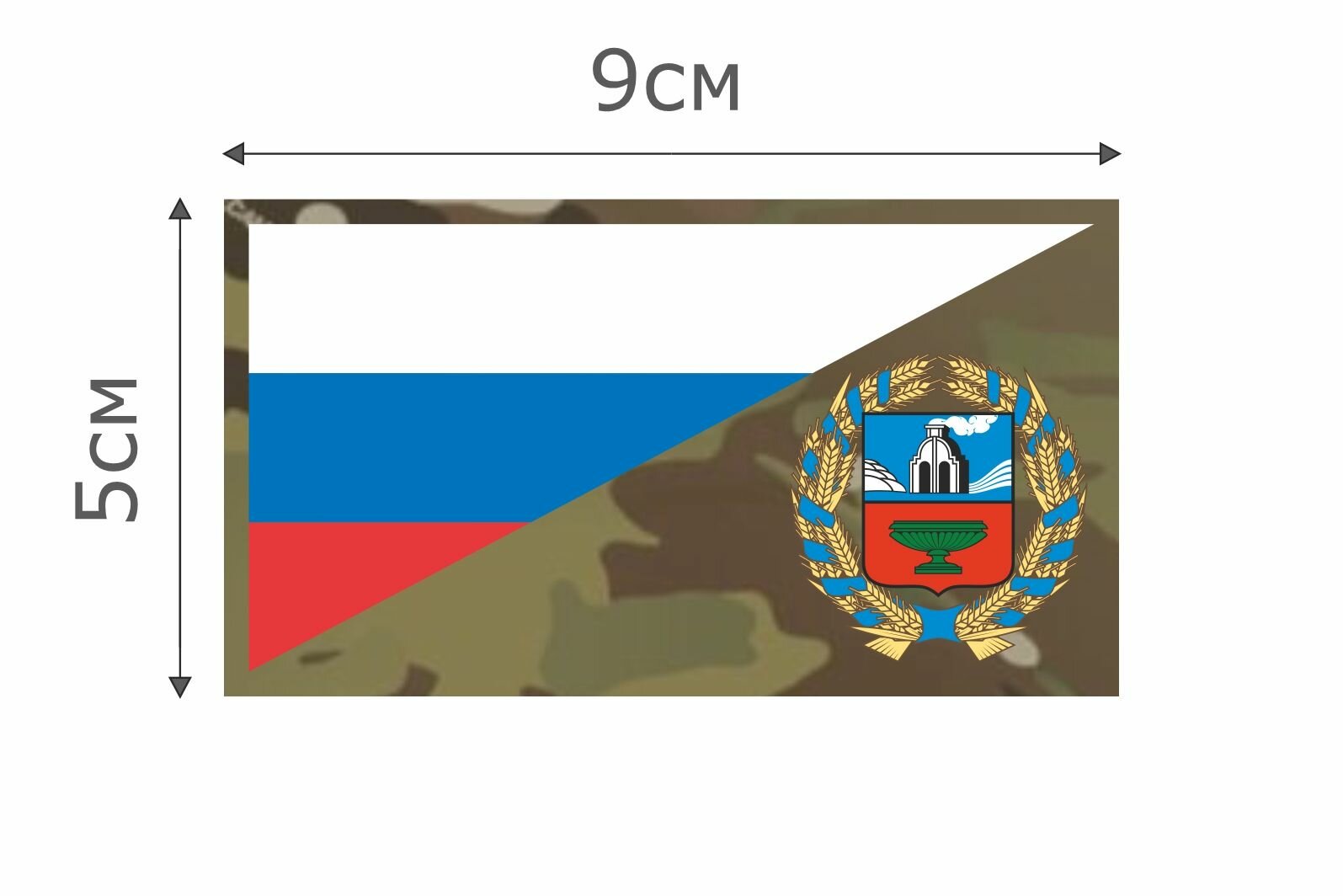Ф022MC Нашивка , патч (шеврон) MC Флаг РФ Алтайский край 5*9 см