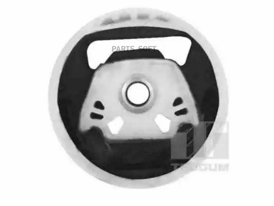 Опора двигателя VW: JETTA III 05-, TOURAN 03- TEDGUM арт. 00728393