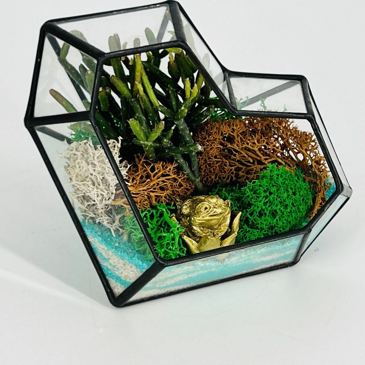 Флорариум сердце-бриллиант с кактусом и денежной жабой на лотосе