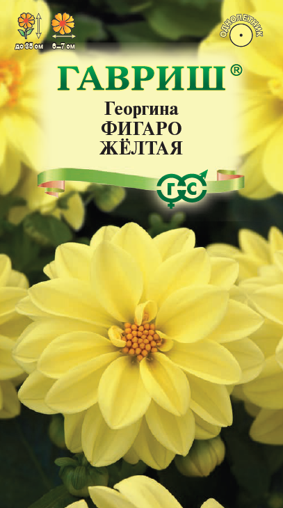 Семена Георгина Фигаро желтая 7шт Одн смесь 30см (Гавриш)