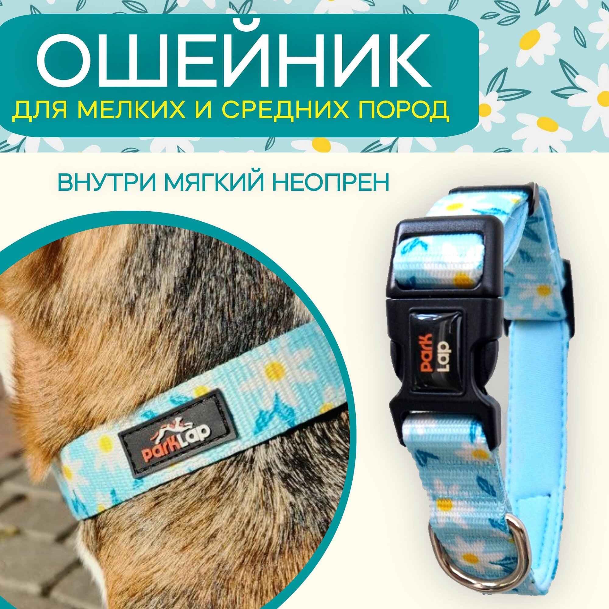 Ошейник с подкладом из неопрена, Ромашки, S, для мелких и средних пород собак