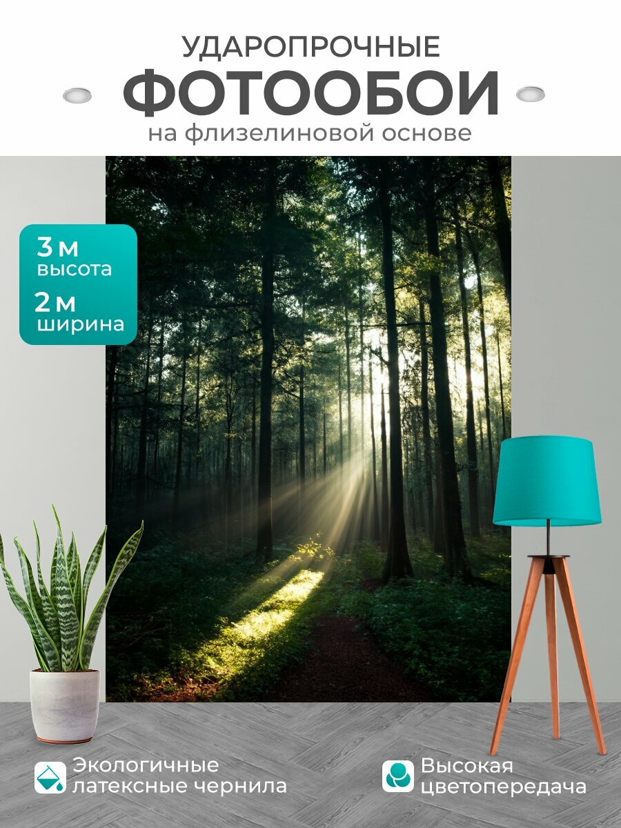 Фотообои моющиеся ударопрочные "Фотообои лес в стиле минимализм с темным лесом и яркими лучами света, пробивающимися сквозь листву, игра света и" 200x300 см. флизелиновые на стену
