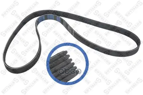 Ремень поликлиновой 6PK1370 Chrysler Stellox арт. 06-01370-SX
