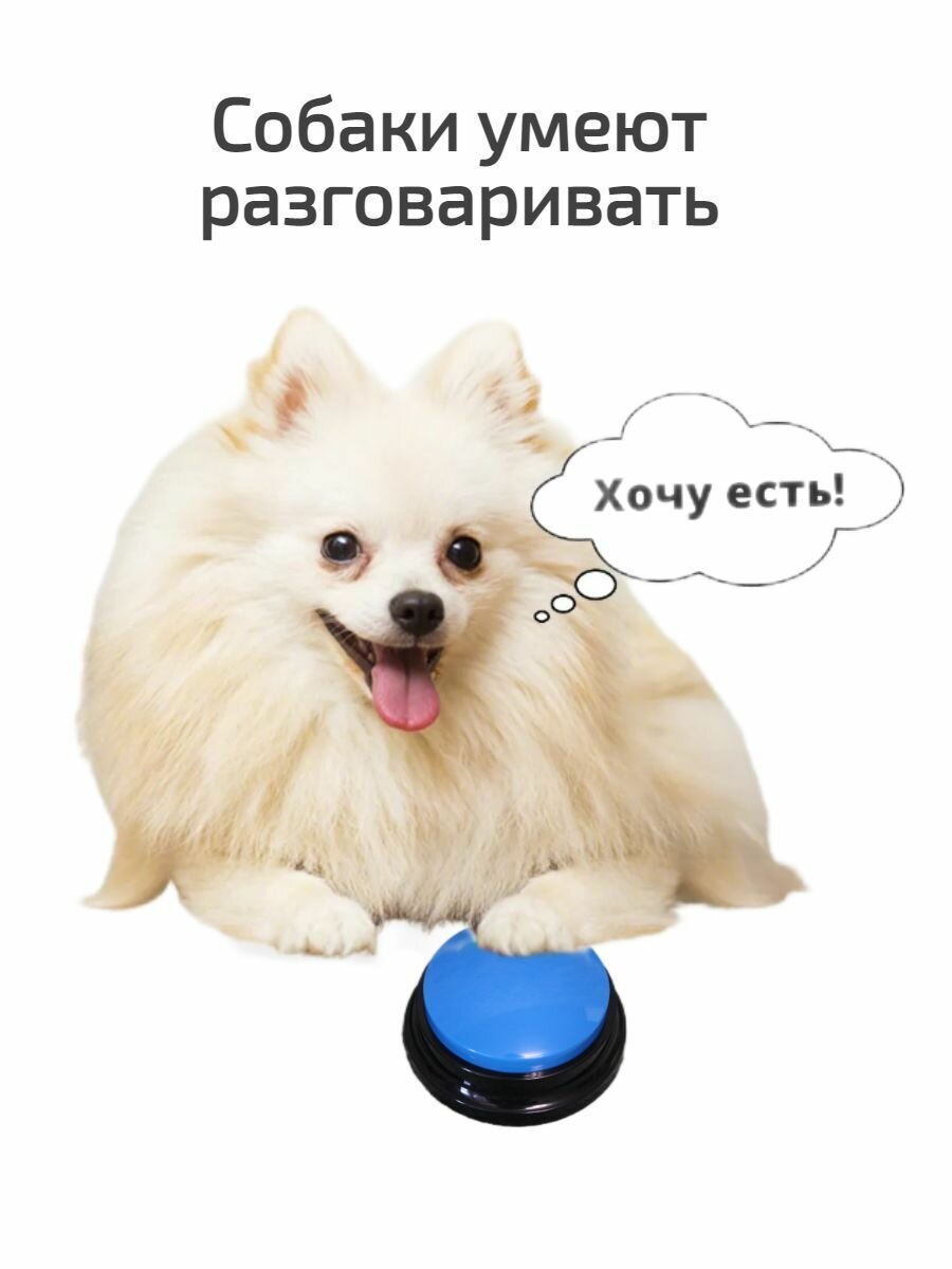 Кнопка для собак жрать хочу, кушать хочу, для дрессировки животных, с записью голоса, звуковая кнопка, кликер для собак , синяя