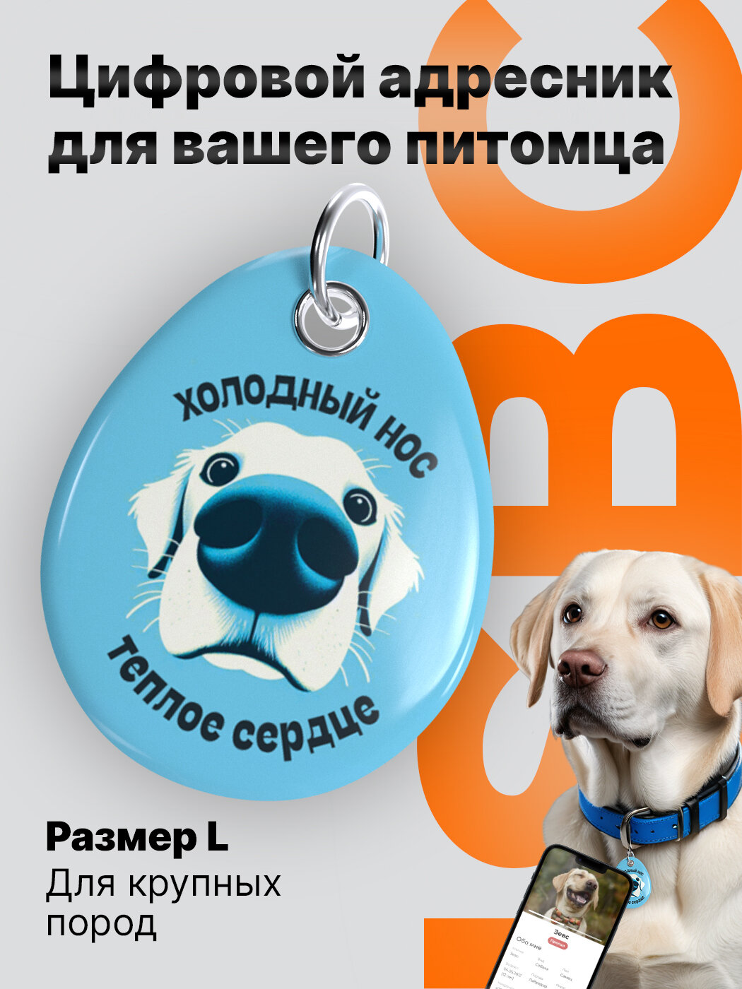 Адресник для собак средних и крупных пород от ISBC с NFC и QR-кодом, Холодный нос, теплое сердце, голубой