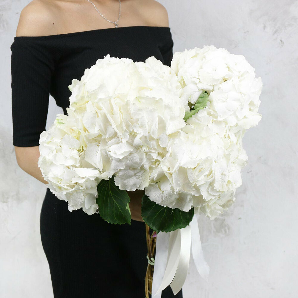 Монобукет Букет Маркет, гортензии, белые, 5шт, высота 35см, S