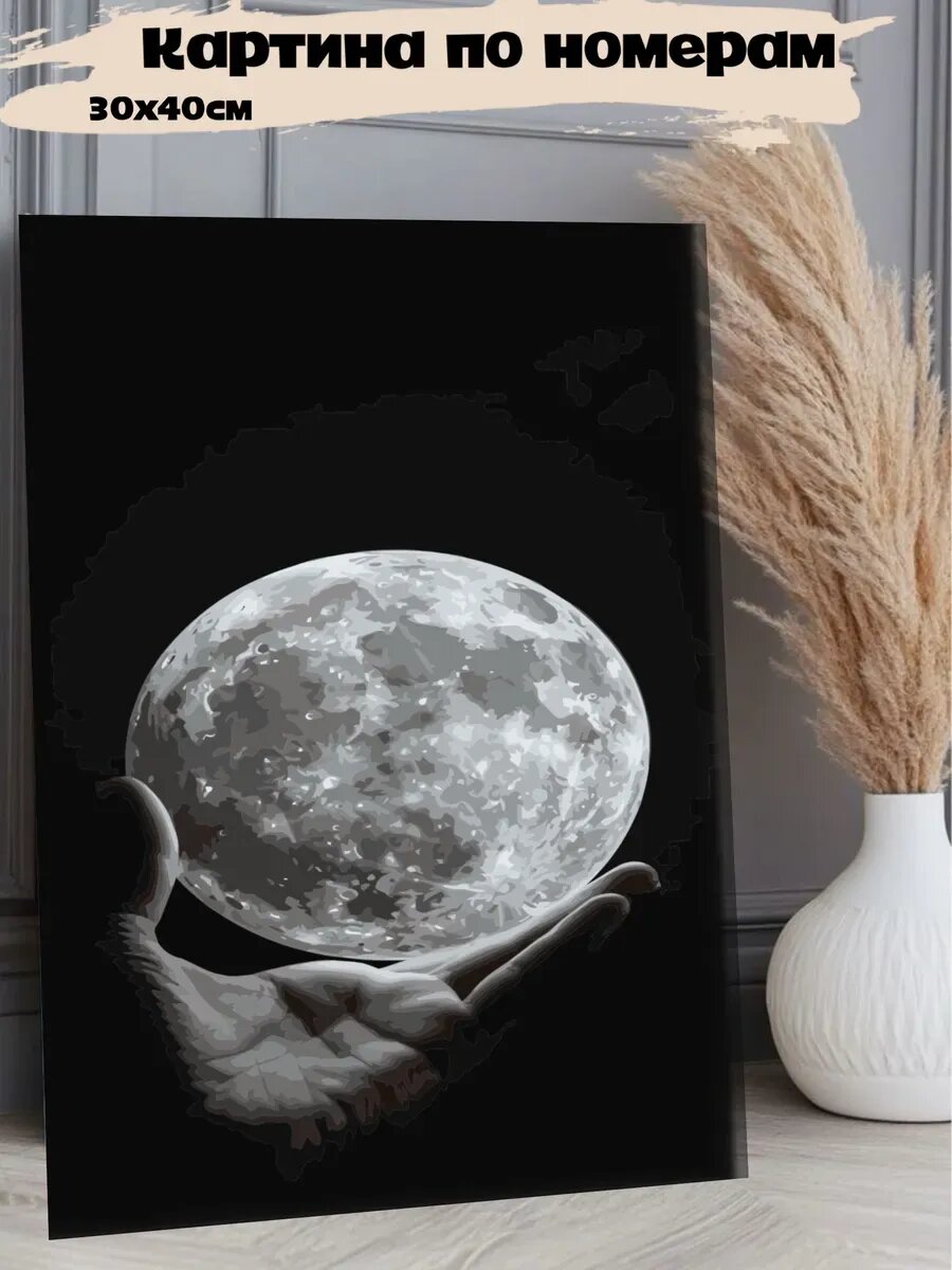 Картина по номерам луна