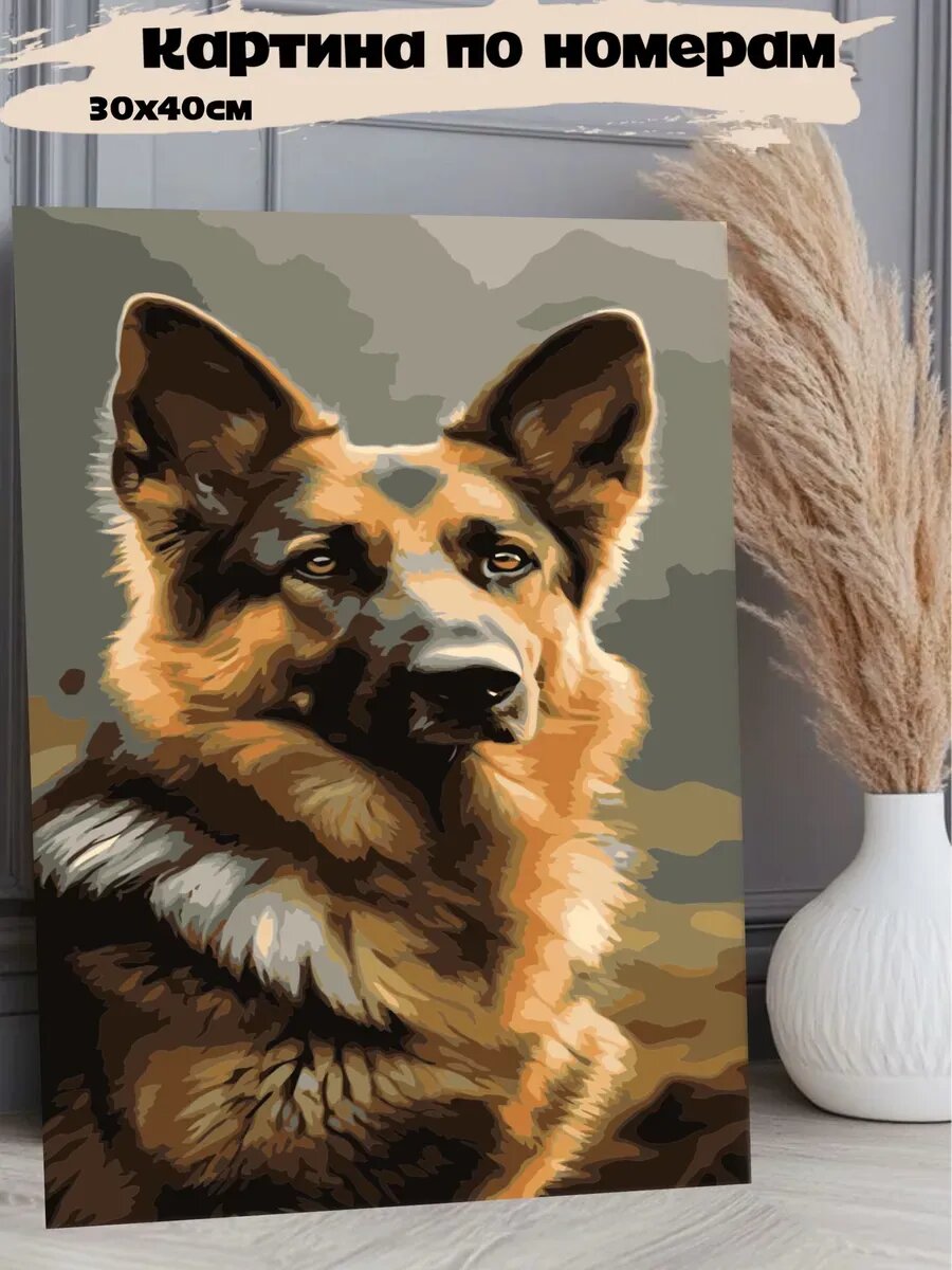 Картина по номерам немецкая овчарка