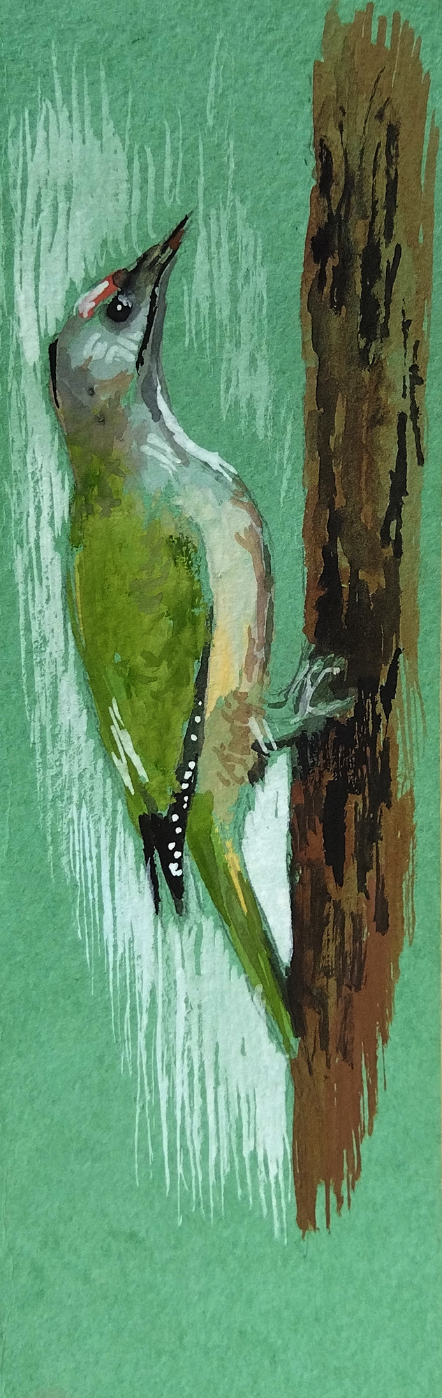 Рисунок гуашью "Седой дятел"