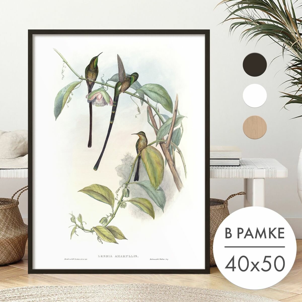 Постер 40х50 В рамке "Птицы на ветке" для интерьера