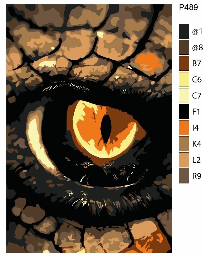 Детская картина по номерам P489 "Желтый глаз дракона" 20x30