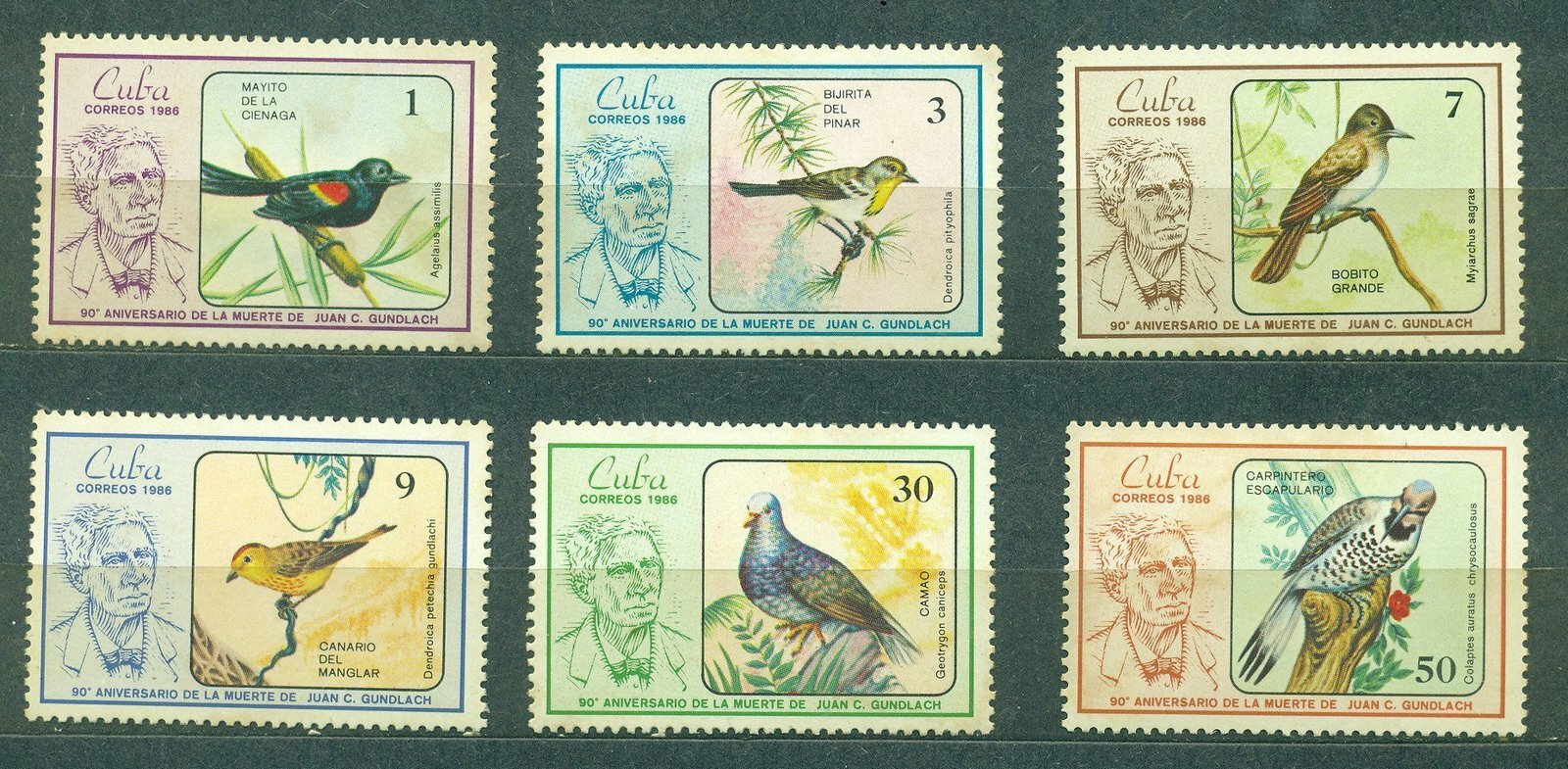 Почтовые марки Куба 1986г. "90-летие со дня смерти Хуана К. Гундлаха, орнитолога" Птицы MNH
