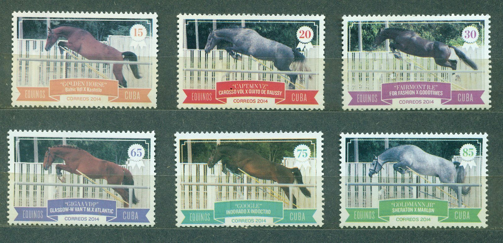 Почтовые марки Куба 2014г. "Лошади" Лошади MNH