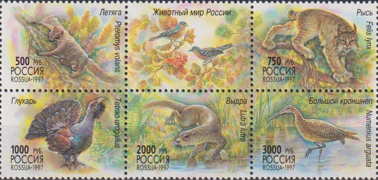 Почтовые марки Россия 1997г. "Животный мир России" Птицы, Фауна MNH