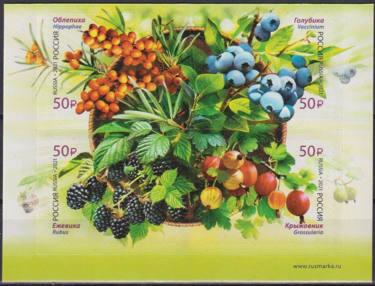 Почтовые марки Россия 2021г. "Ягоды" Флора, Ягоды MNH
