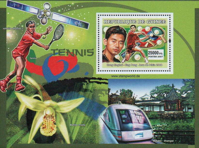 Почтовые марки Гвинея 2007г. "Спорт - Теннис" Теннис, Спорт MNH