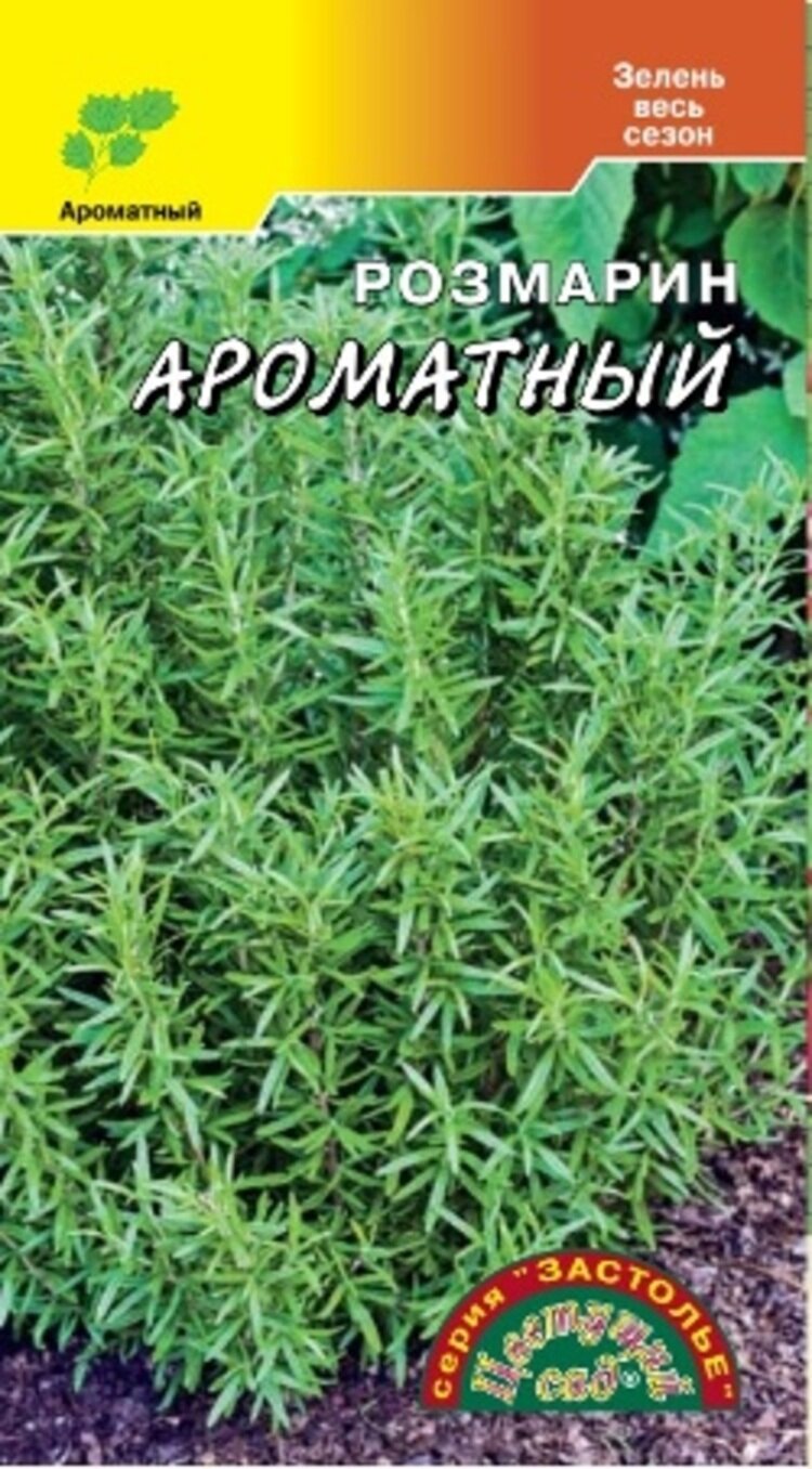 Семена Розмарин Ароматный (0,02 г), Цветущий сад, многолетник