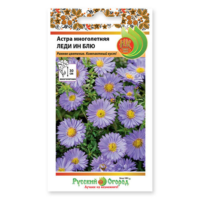 Семена астра многолетняя Леди Ин Блу, садовая разновидность, декоративный цветок 0,07 г
