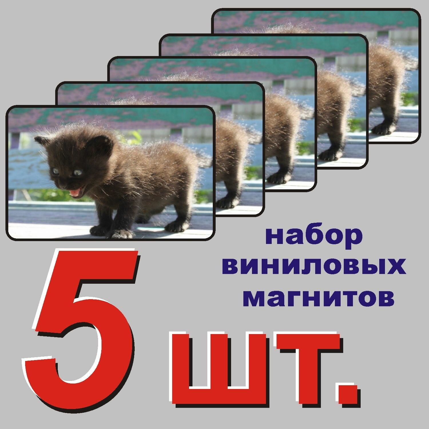 Магнит на холодильник "Котики" 5 шт.