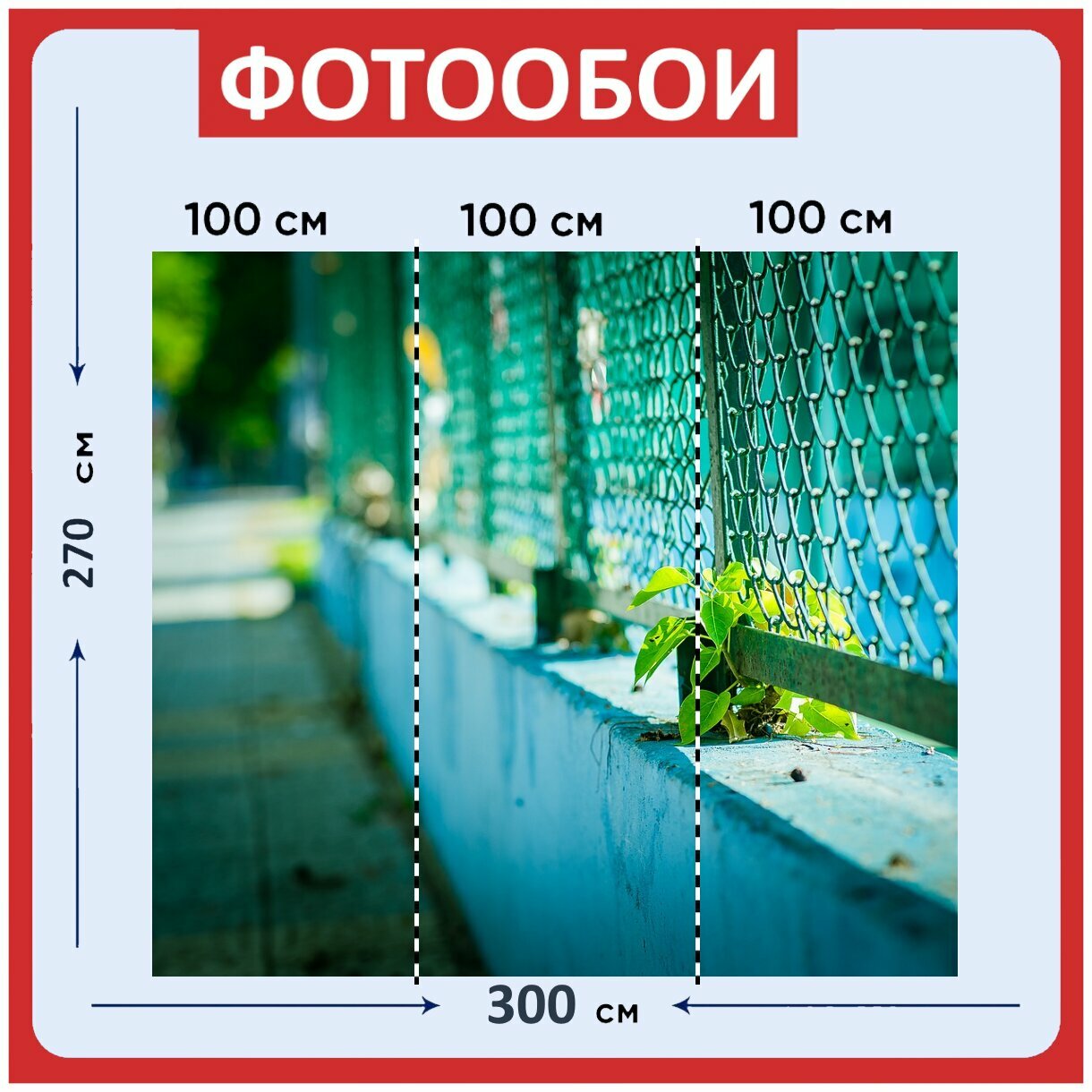 Фотообои ударопрочные моющиеся "Дерево, картина, рамка" 300x270 см. флизелиновые на стену