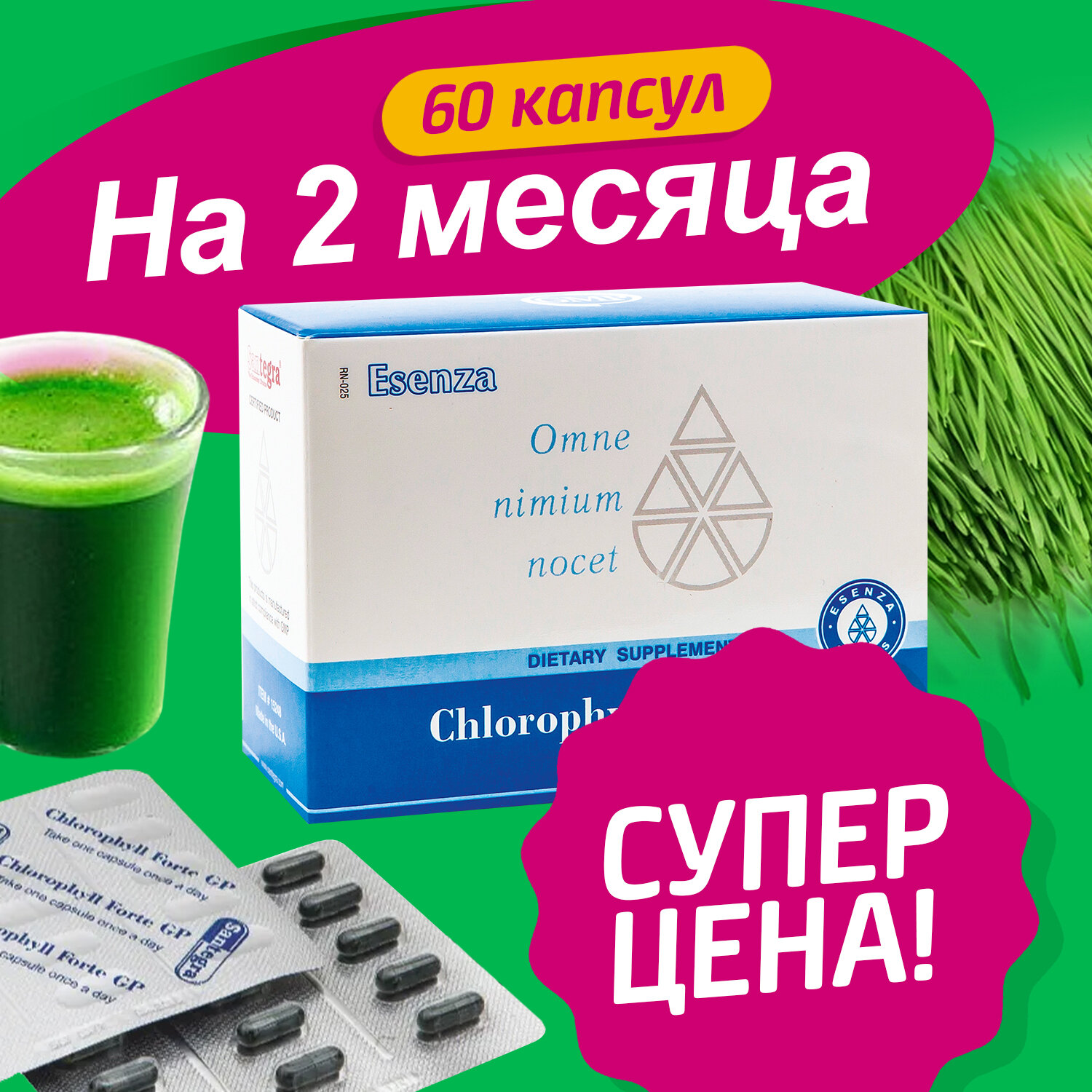 Хлорофилл Santegra , природный антисептик , улучшает пищеварение , очищает кожу , укрепит иммунитет , жидкий хлорофилл в капсулах , 50 мг 60 капсул , Сантегра