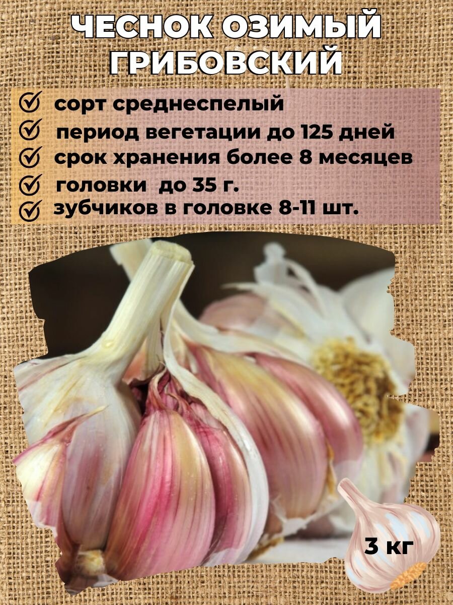 Чеснок озимый на посадку, 3 кг.
