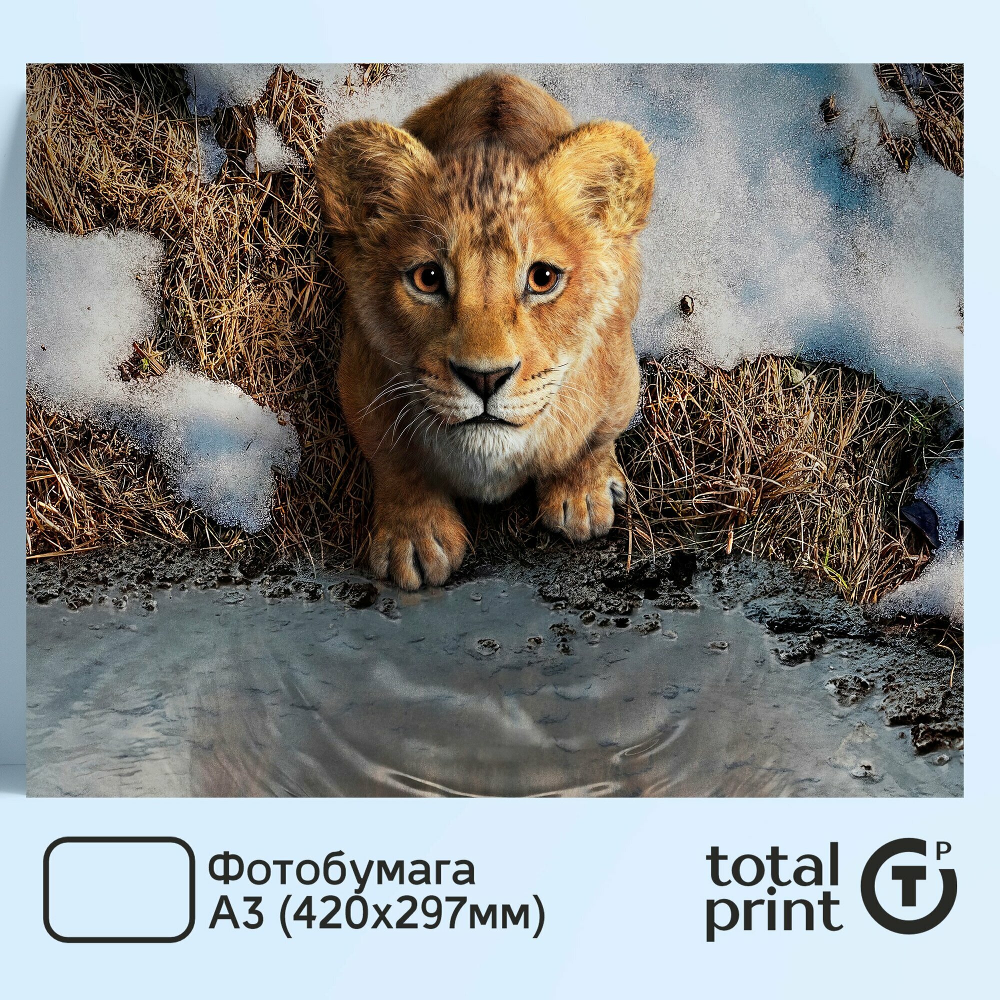 TotalPrint Постер для интерьера, Король Лев, А3(42х29,7см)