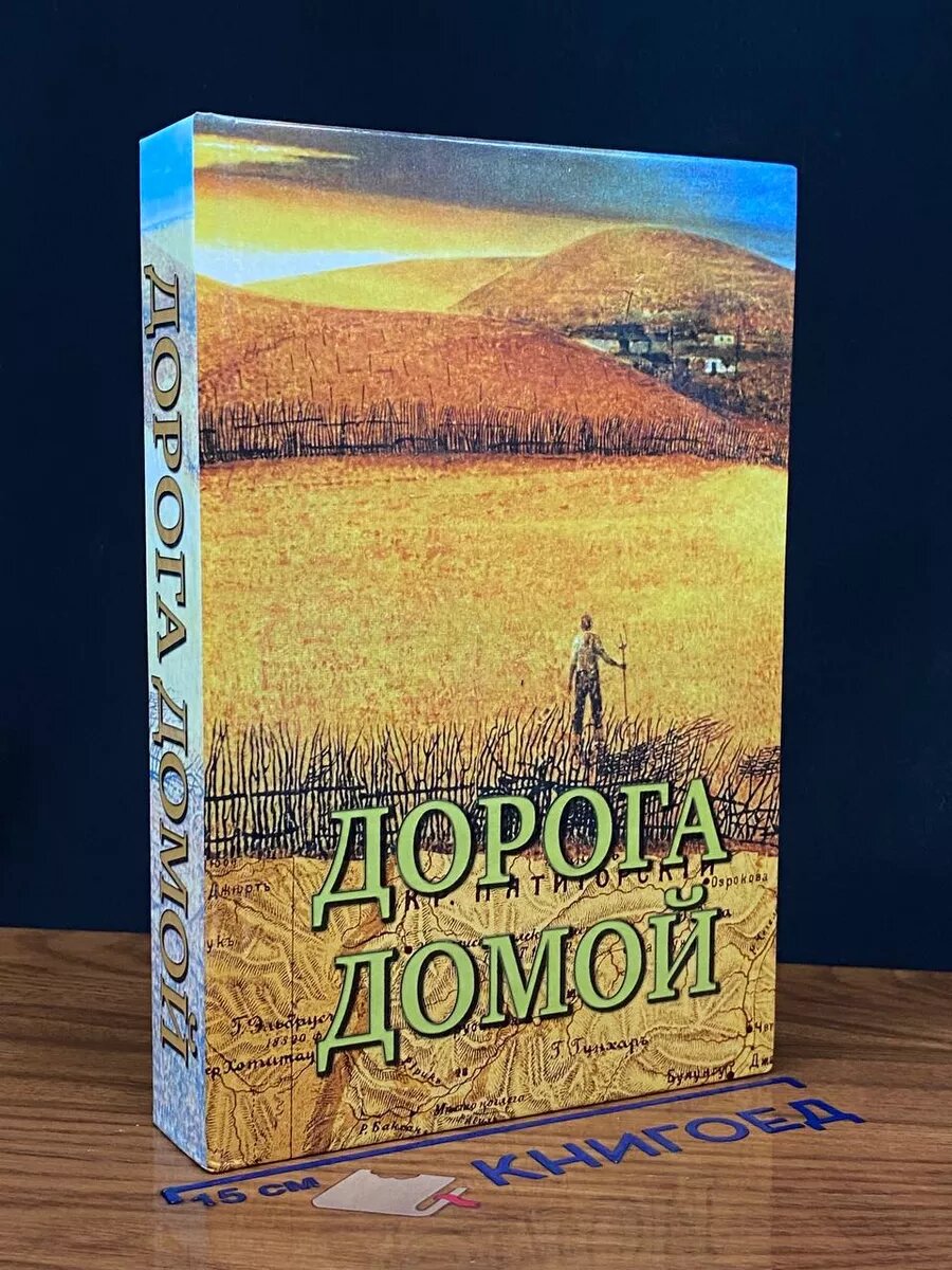 Книга. Дорога домой 2011 (2040955500437)