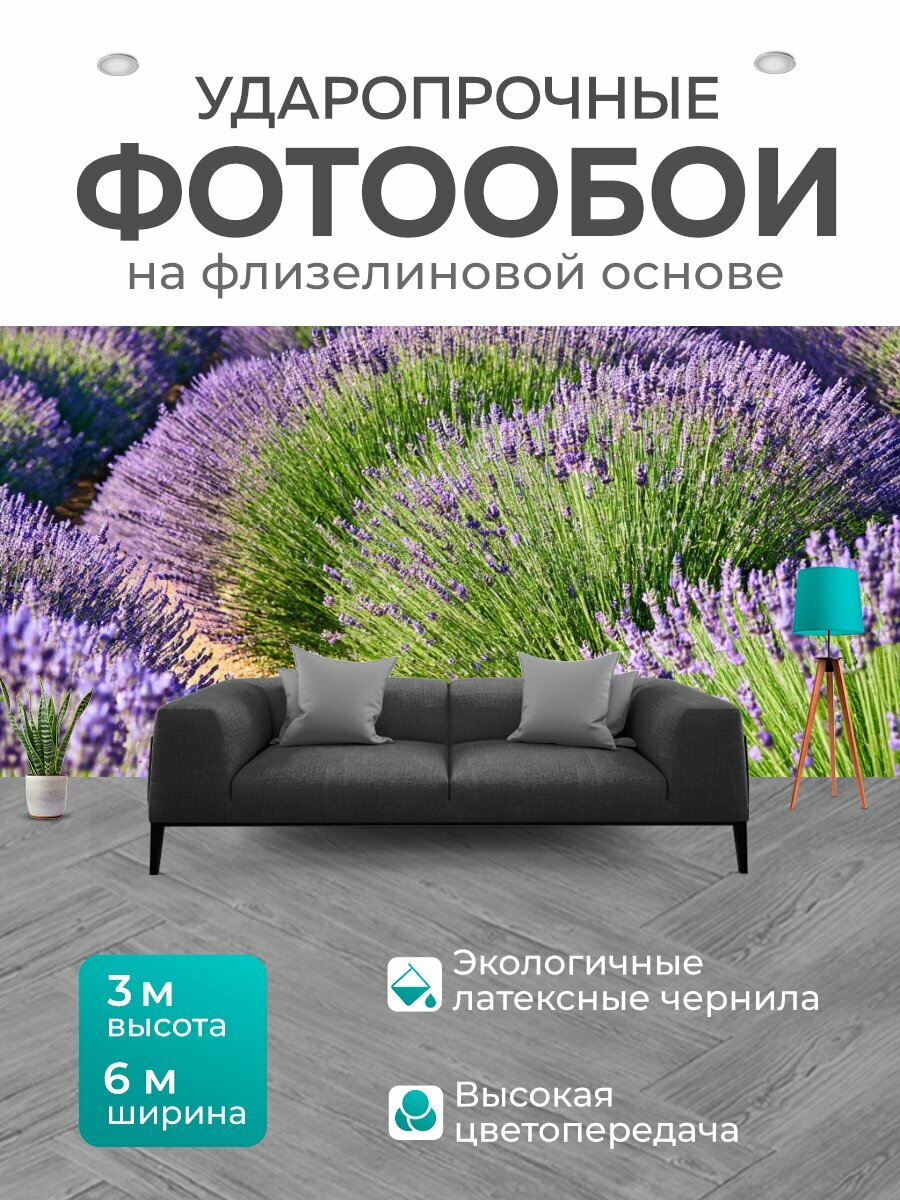 Фотообои моющиеся ударопрочные на кухню "В стиле прованс с лаванды и зелеными полями" 600x300 см. флизелиновые на стену