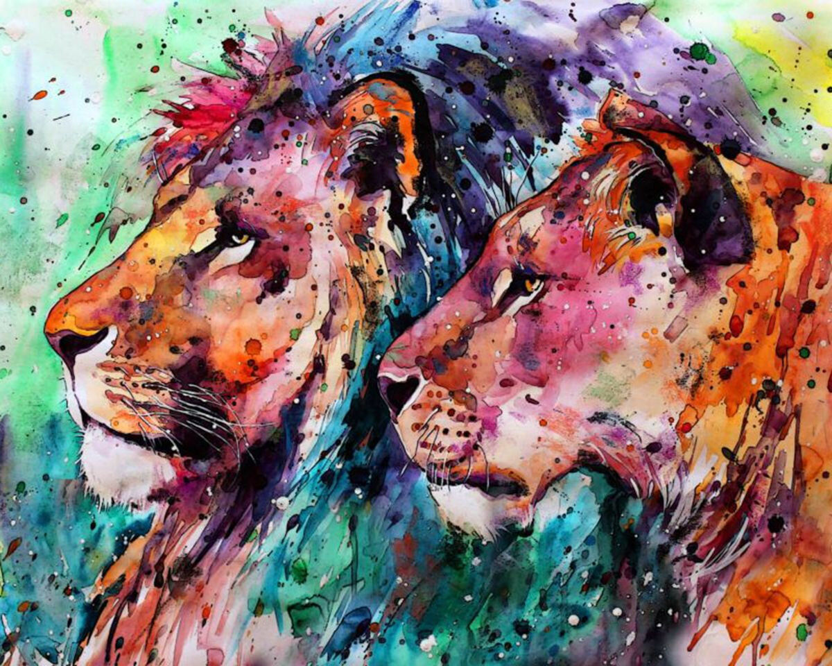 Картина по номерам лев и львица 40х50