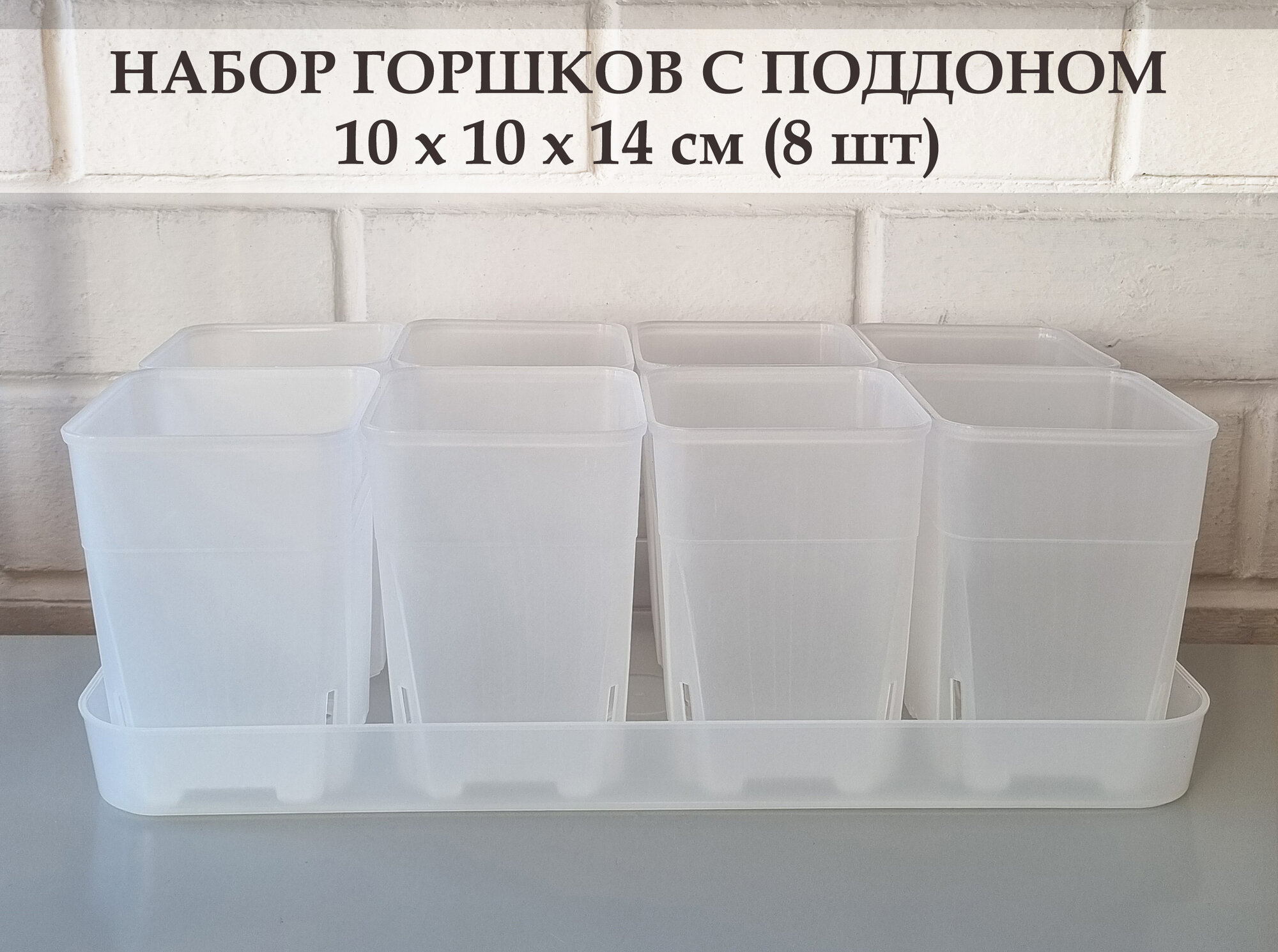 White Garden Прозрачные высокие горшки для суккулентов. Набор горшков с поддоном, 10х14 см, 8 шт