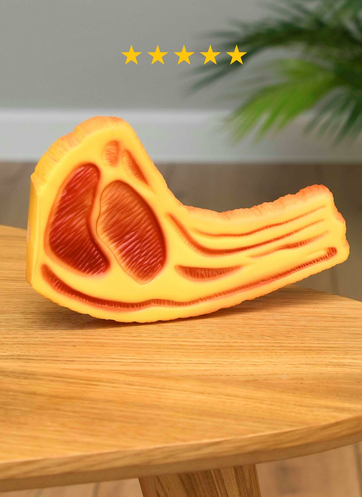 Игрушка для собак "Стейк", 15,5 см