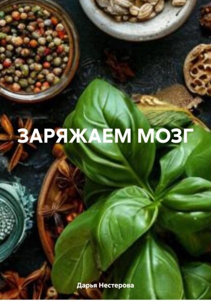 Заряжаем мозг [Цифровая книга]