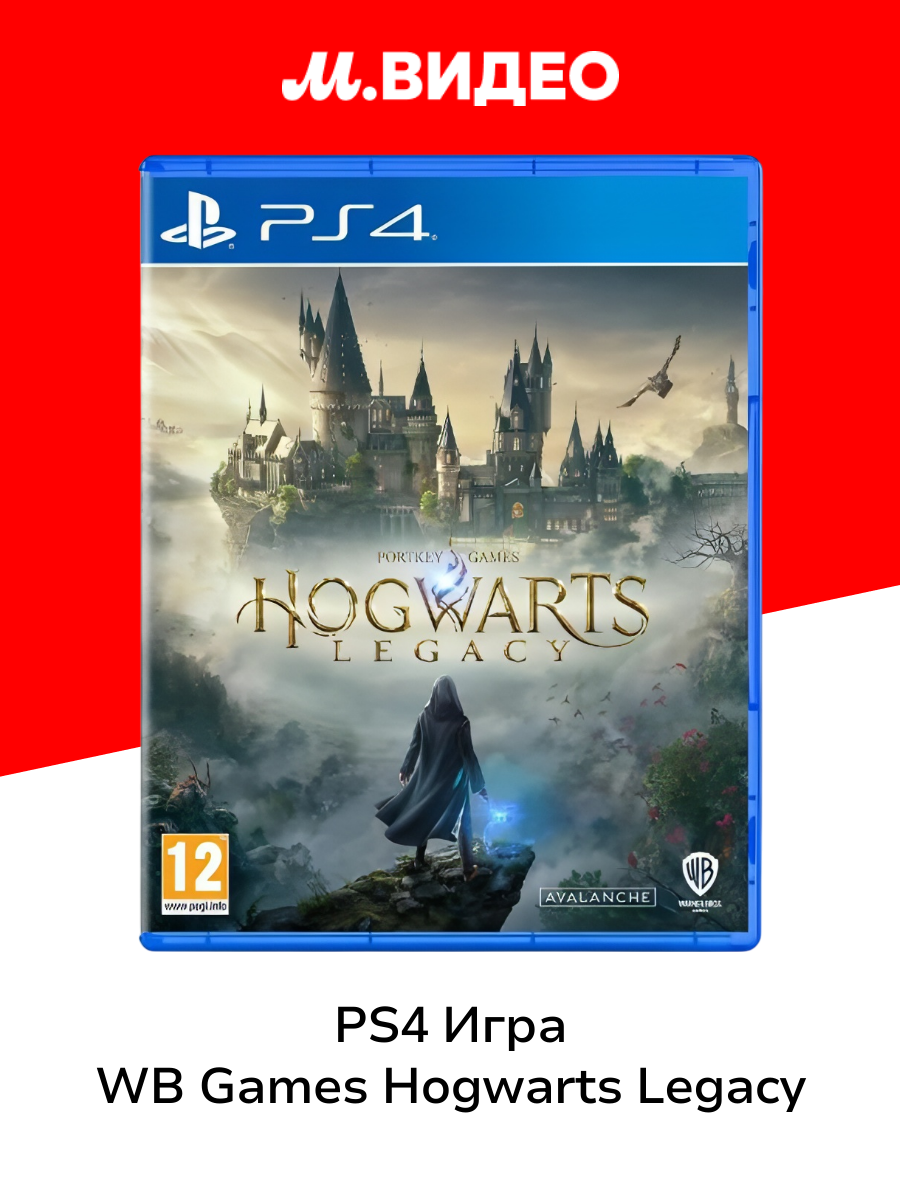 PS4 игра WB Games Hogwarts Legacy Стандартное издание