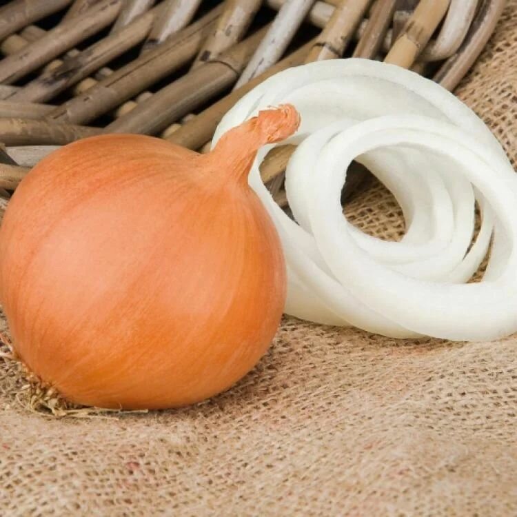 Коллекционные семена лука репчатый Манас F1