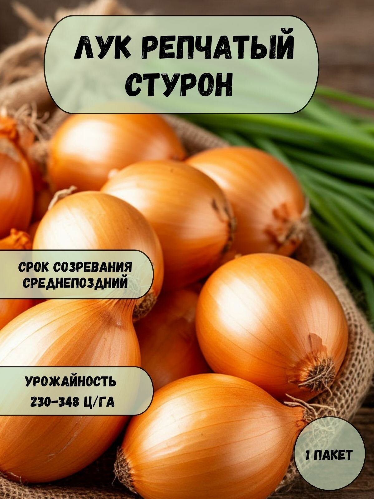 Лук Стурон семена 10 шт