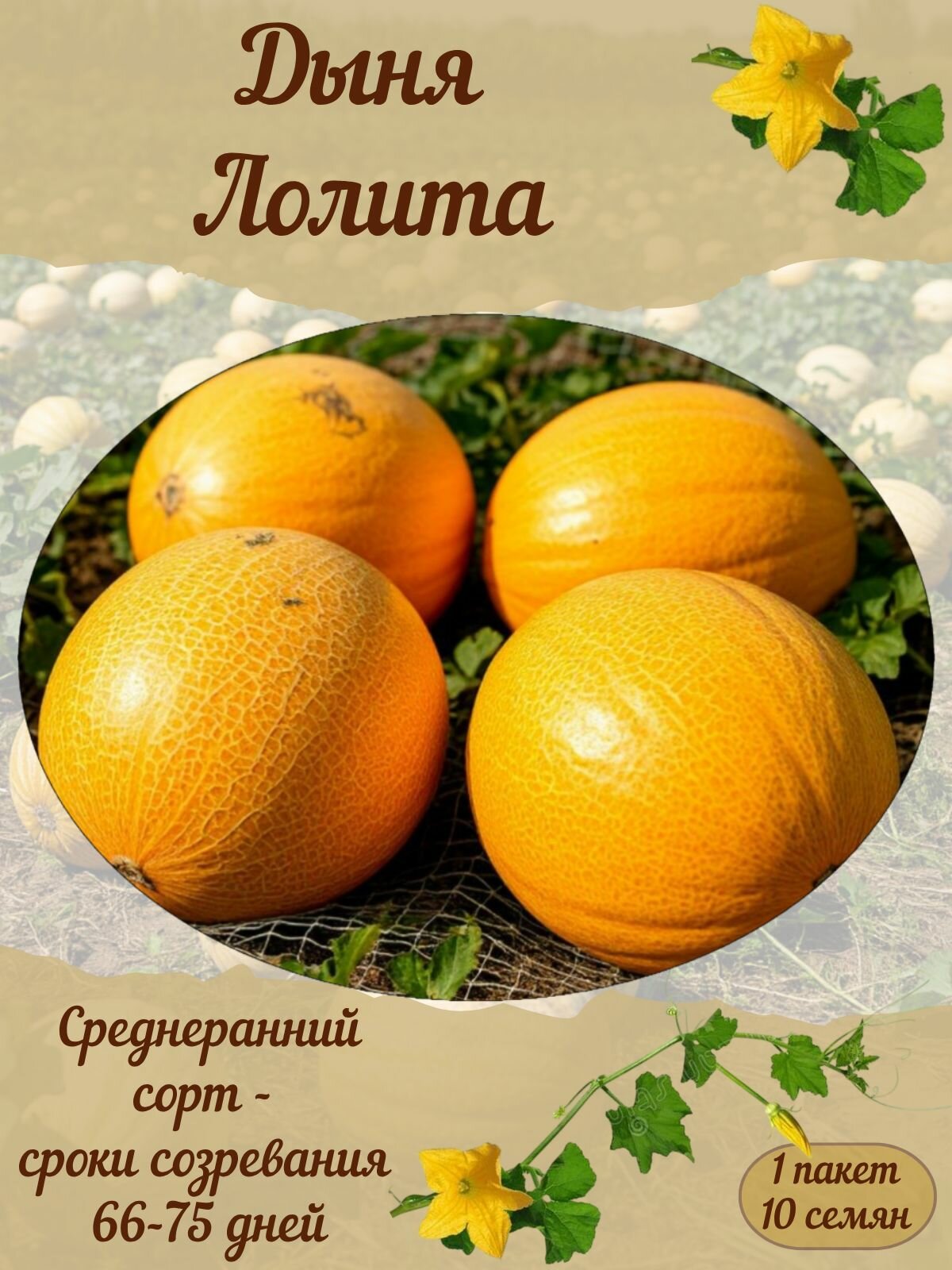 Дыня Лолита, 10 шт, 15 гр.