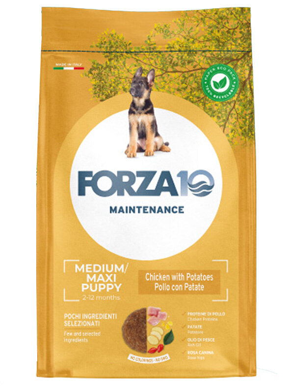 Корм сухой для собак FORZA10 Maintenance Chicken Puppy Medium & Maxi с курицей, для щенков средних и крупных пород, 2 кг