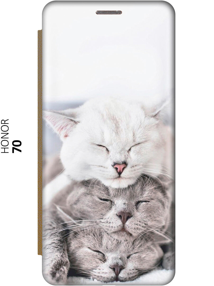 Чехол-книжка Три кота на Honor 70 / Хонор 70 золотой