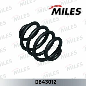 Пружина подвески VW T5 2.0/1.9TDI 03- задняя