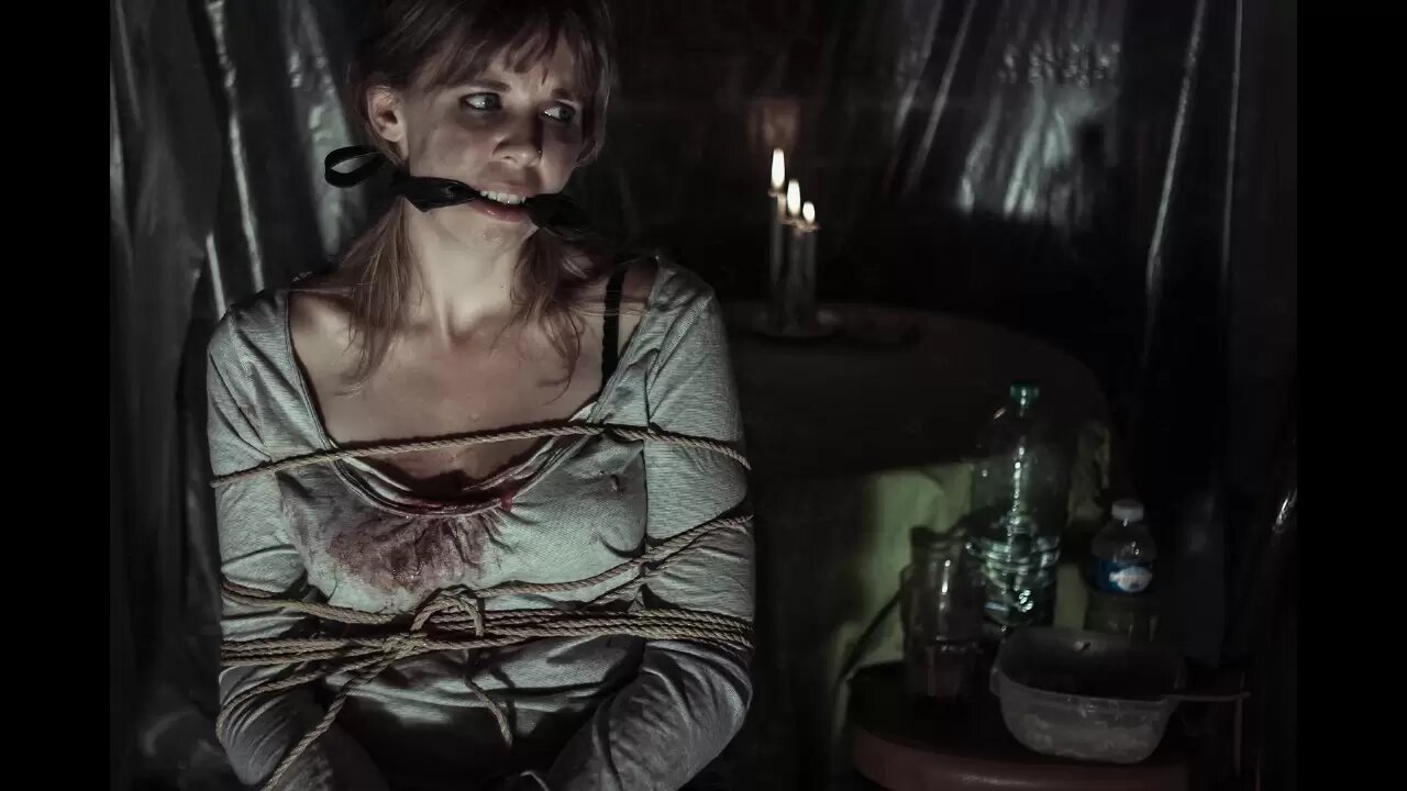 The Fan (Steam; PC; Регион активации все страны)