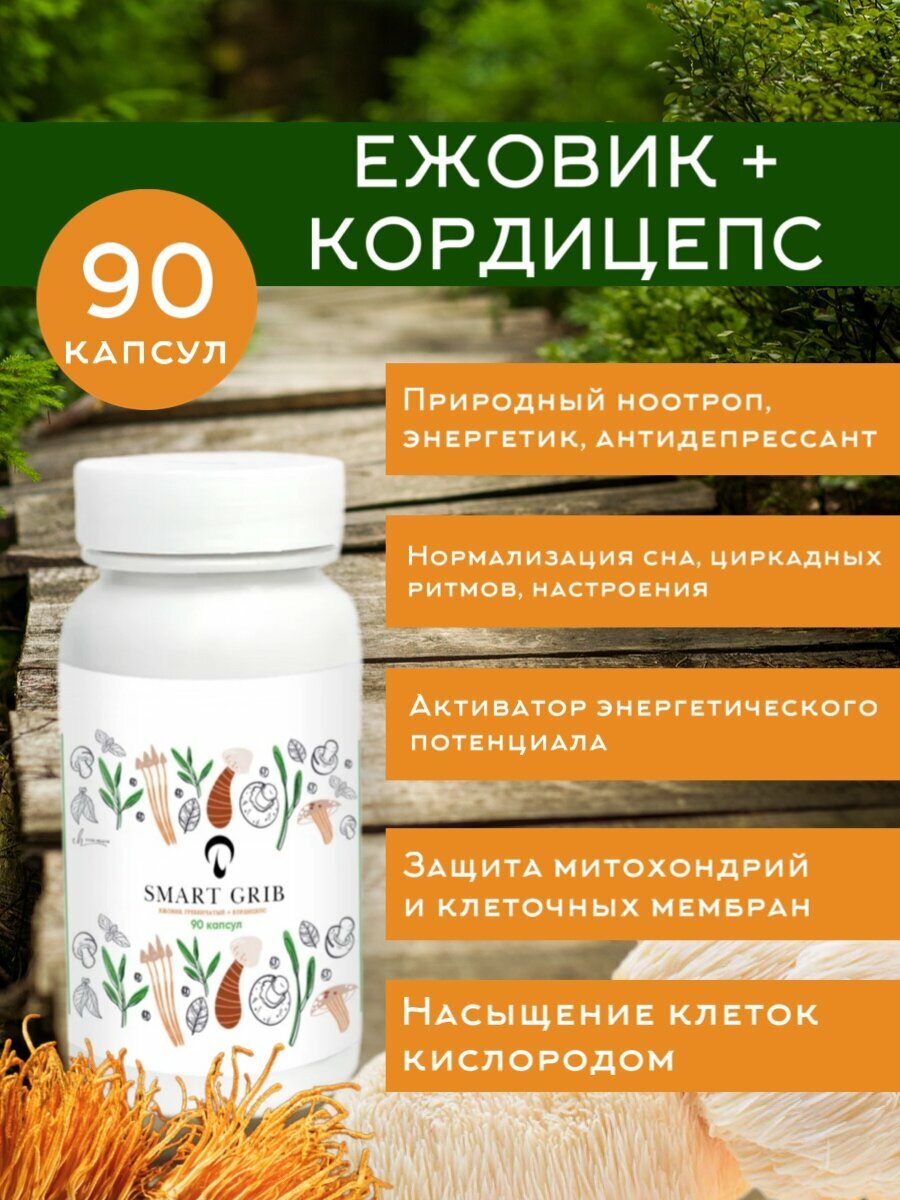 Ежовик гребенчатый + кордицепс военный в капсулах