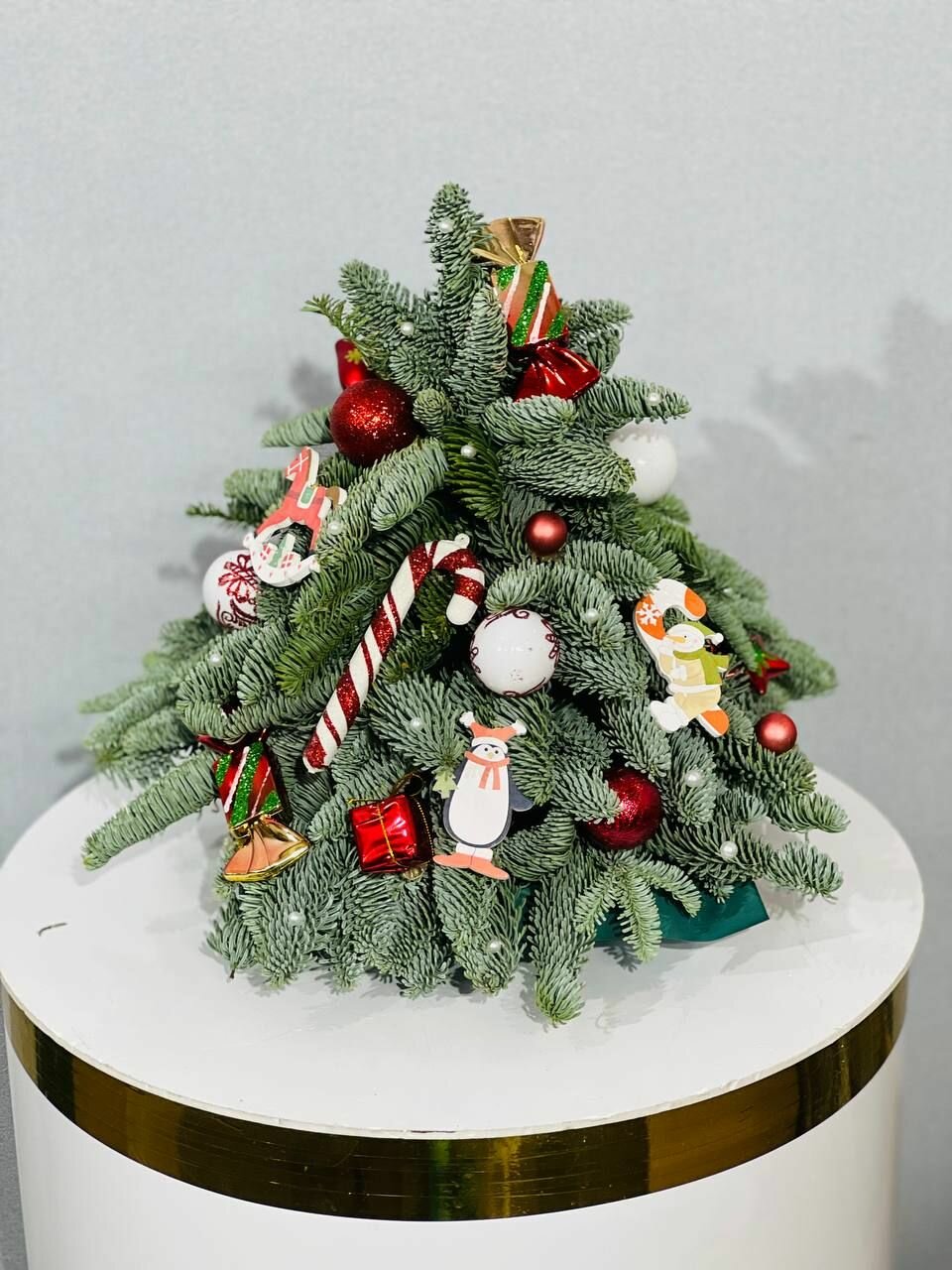 Ёлочка живая настольная 35см из натуральной хвои нобилис