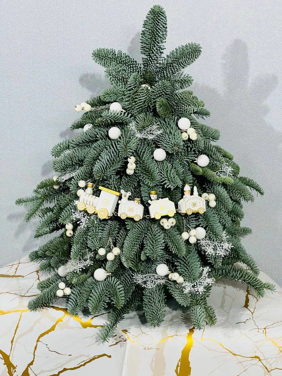 Ёлочка новогодняя живая из нобилиса 50см